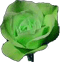 Index of /images/phool/