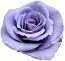 Index of /images/phool/